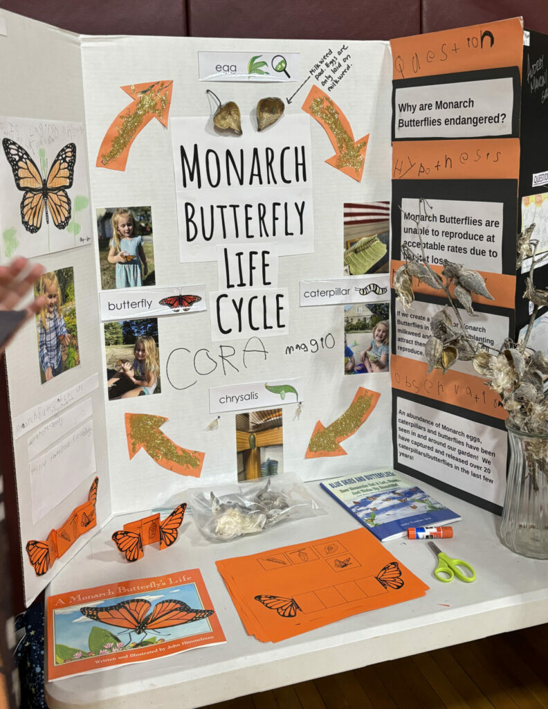 GALLERY: South Row Elementary School Science Fair 2024 - South Row ...