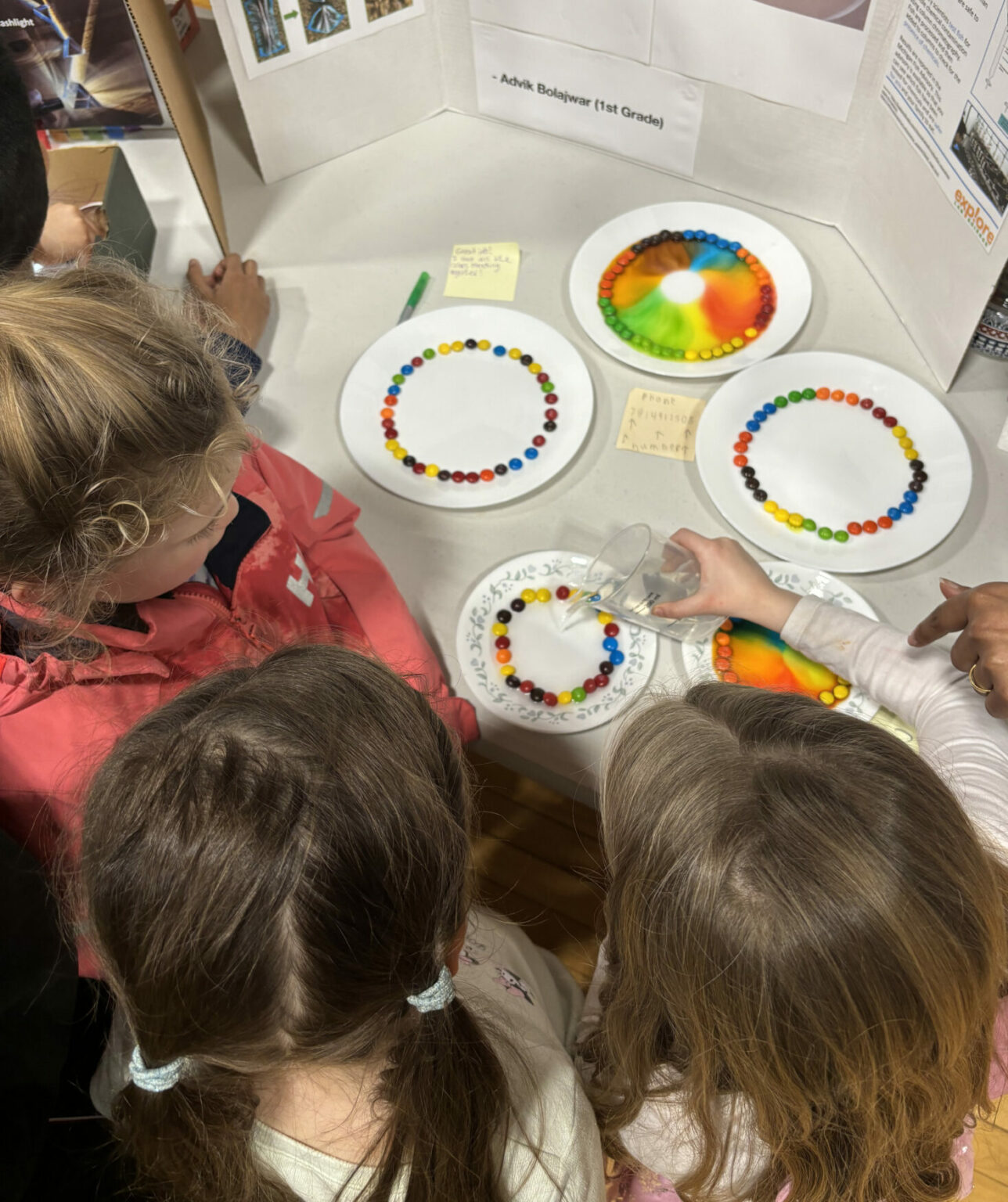 GALLERY: South Row Elementary School Science Fair 2024 - South Row ...