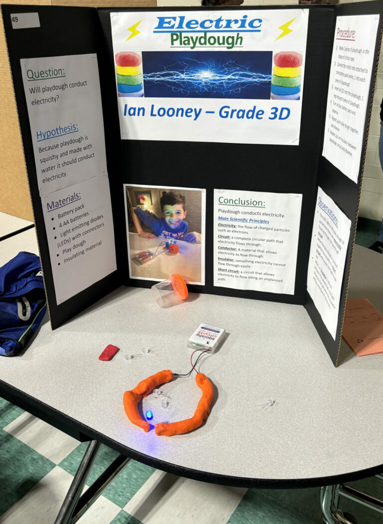 GALLERY: South Row Elementary School Science Fair 2024 - South Row ...