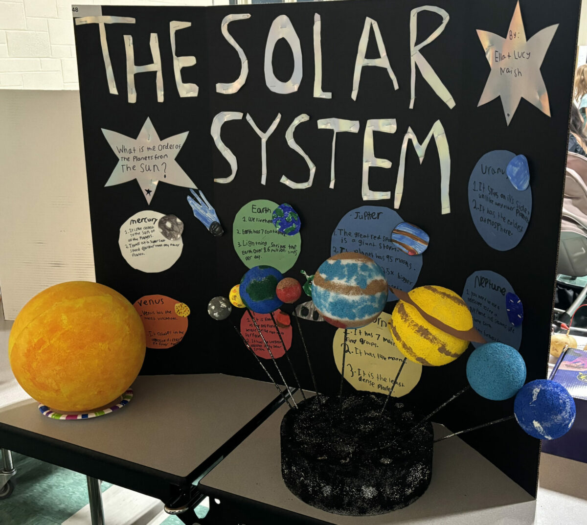 GALLERY: South Row Elementary School Science Fair 2024 - South Row ...